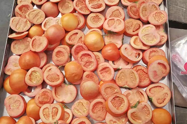 Freeze Dried Samples - Vikumer Freeze Dry