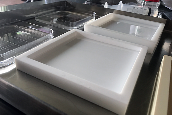 Freeze Dried Samples - Vikumer Freeze Dry